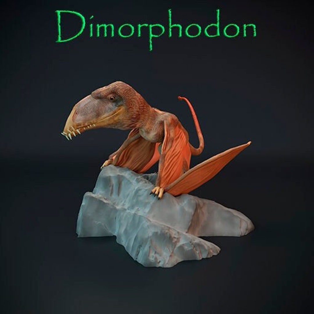 Dimorphodon, Paintable Resin Miniatures Collection: Detailed Replicas ...