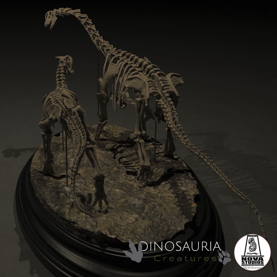 Saltasaurus and Carnotaurus Skeleton: Extinct Fauna of the Mesozoic in ...