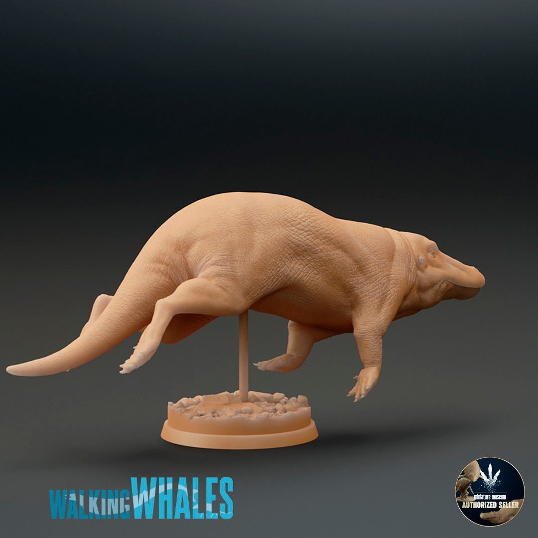 Ambulocetus Natans: Detailed Resin Replica of the Ancient Swimming ...