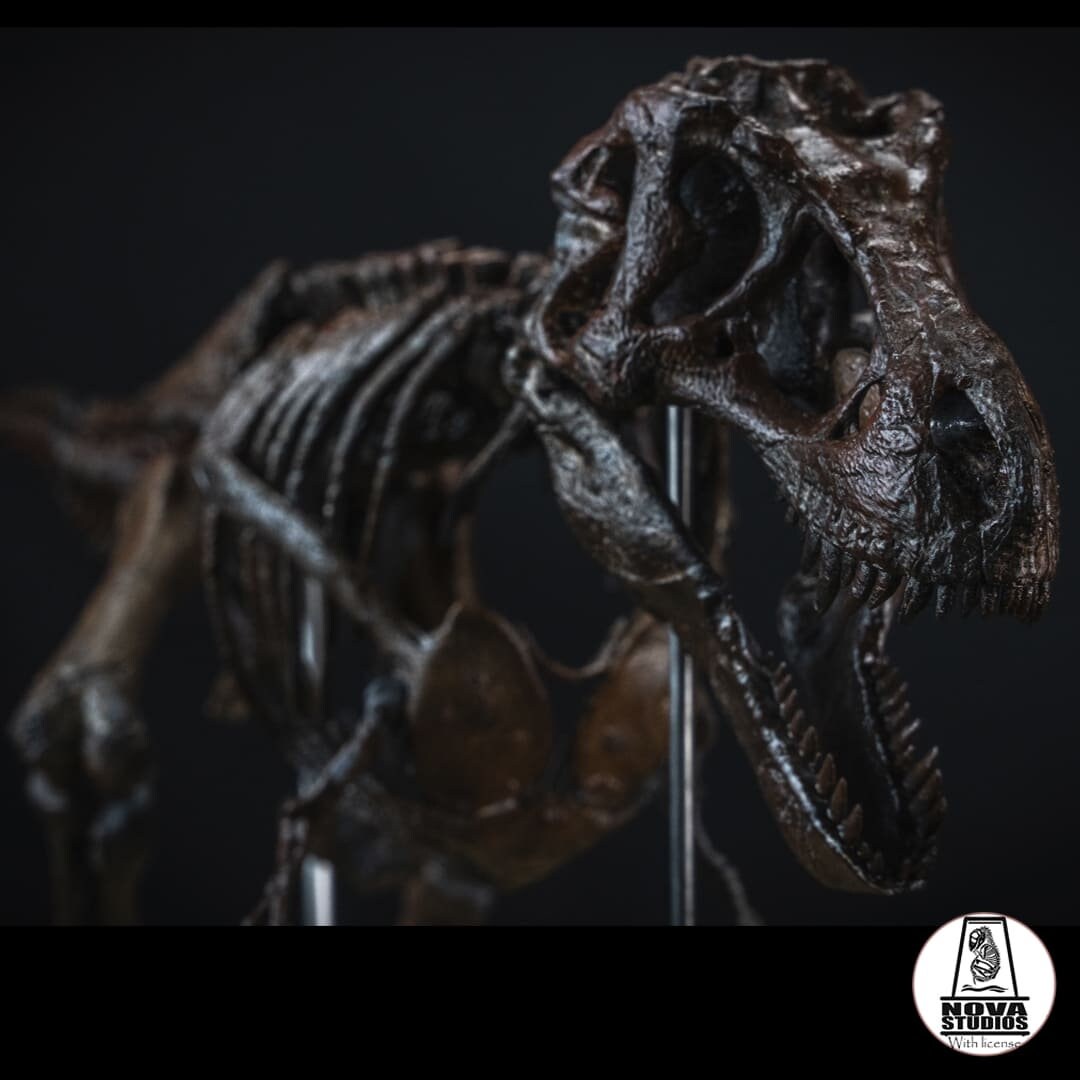 Tyrannosaurus Rex monty Skeleton: Extinct Fauna of the Mesozoic in ...