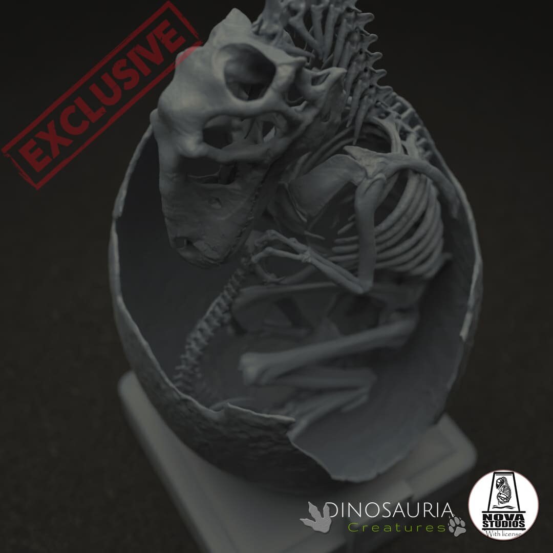 Baby Raptor Skeleton: Extinct Fauna in Resin Miniature to Paint and ...