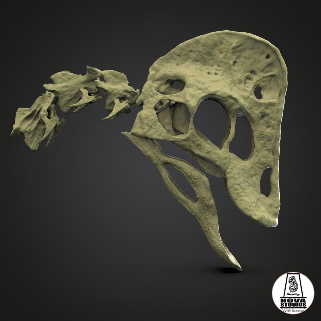 Detailed Skull of Anzu Wyliei, Extinct Fauna of the Mesozoic in Resin ...