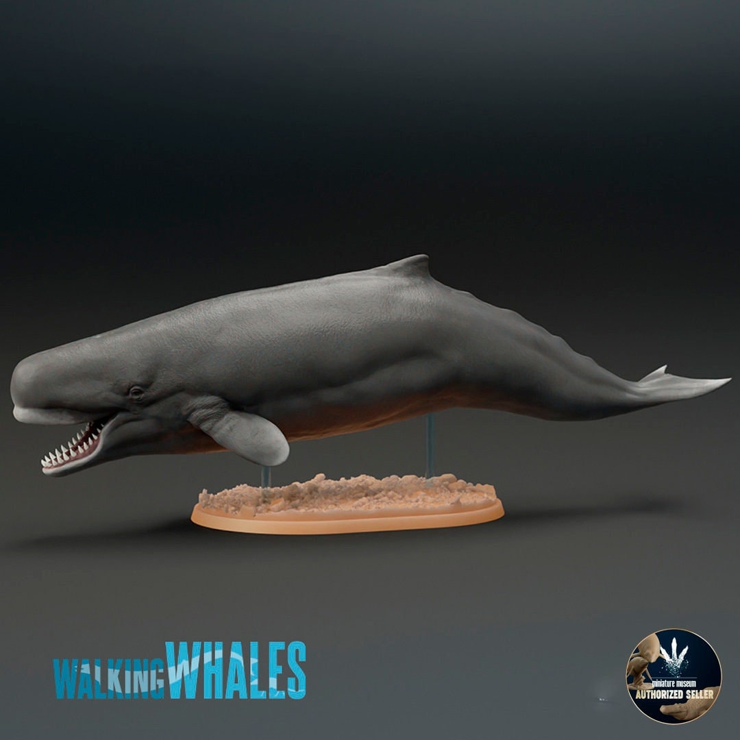 Livyatan Melvillei, Miniature to Scale; Replicas of Extinct Fauna of ...