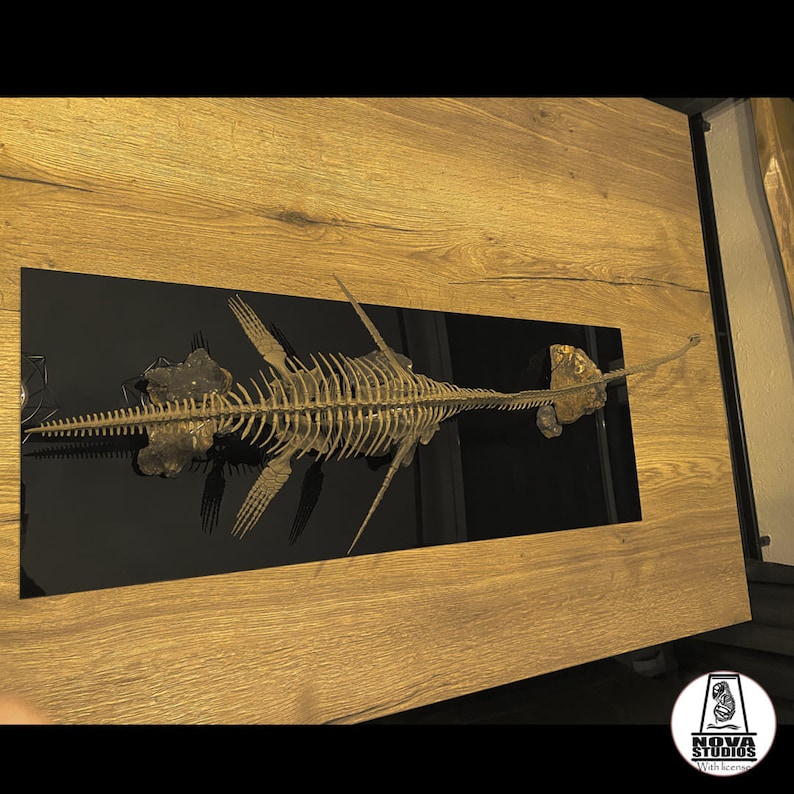 Elasmosaurus Platyurus Skeleton: Extinct Fauna of the Mesozoic in Resin ...