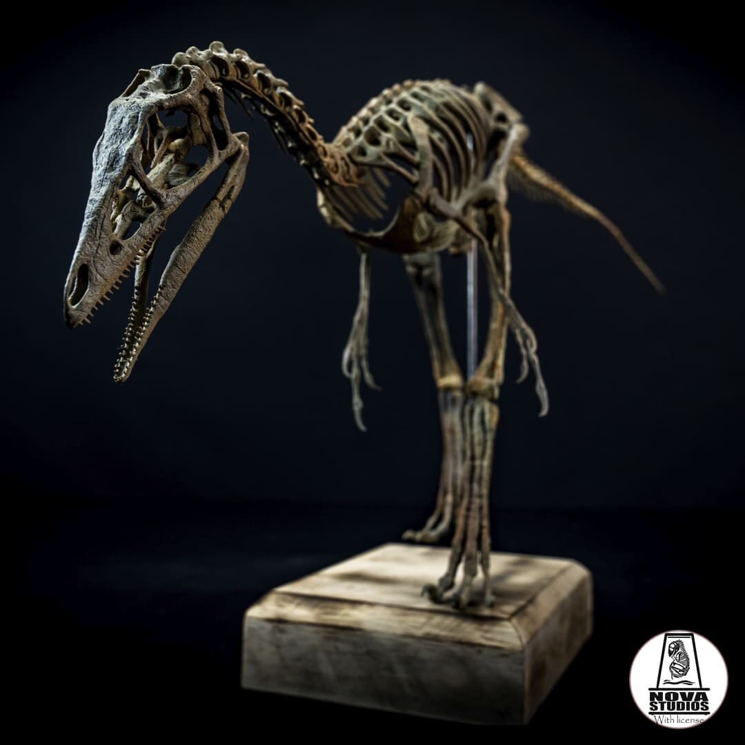 Compsognathus Longipes Skeleton: Extinct Fauna of the Mesozoic in Resin ...