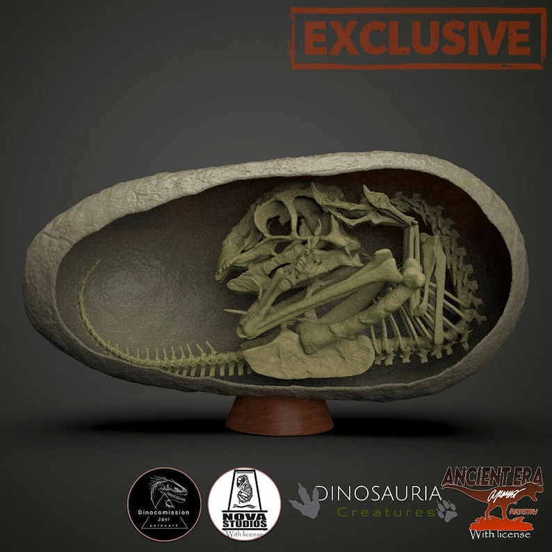 Baby Yingliang, the Oviraptor Embryo - Etsy