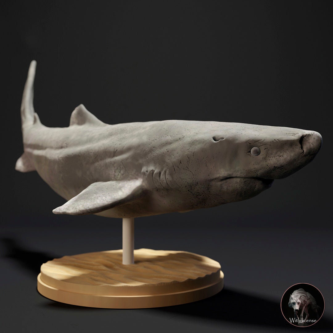 Greenland Shark Miniature to Paint: Detailed Replica of the Mysterious ...