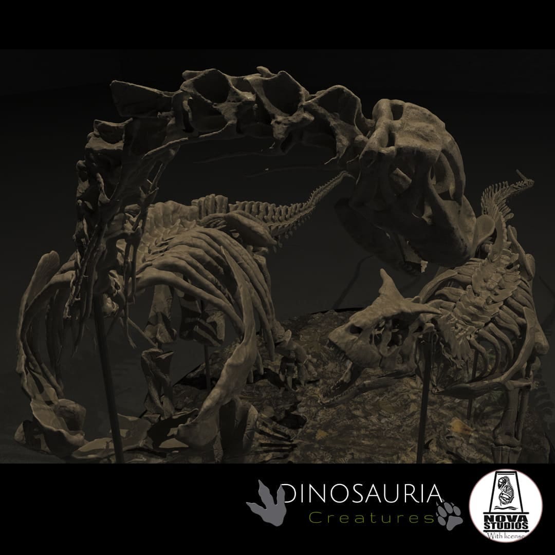 Saltasaurus and Carnotaurus Skeleton: Extinct Fauna of the Mesozoic in ...