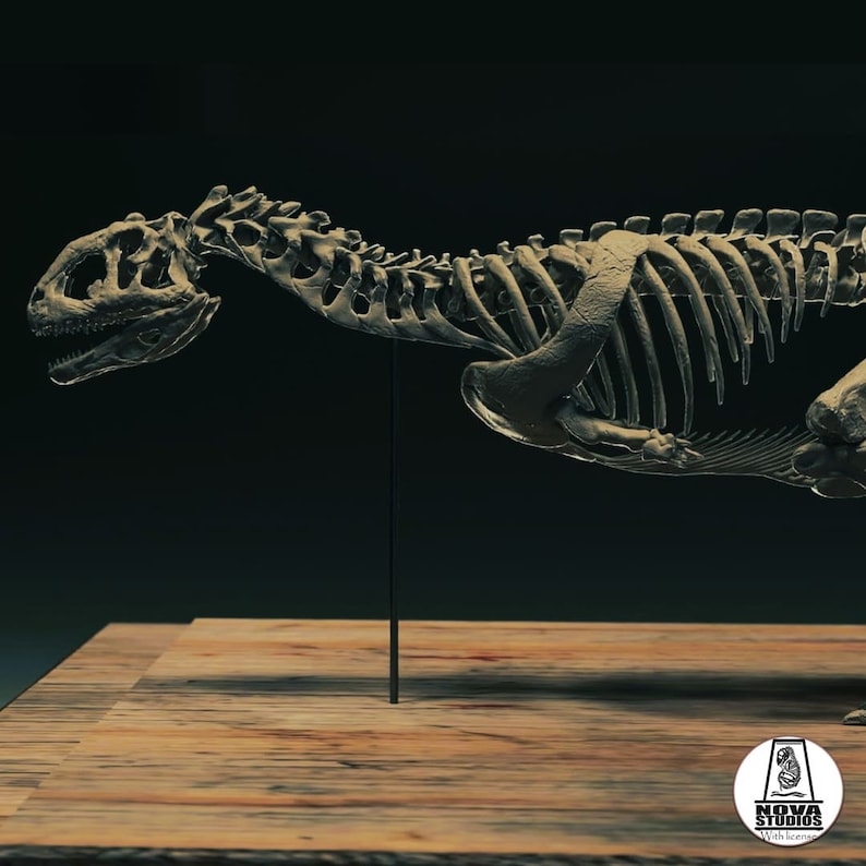 Majungasaurus Crenatissimus Skeleton: Extinct Fauna of the Mesozoic in ...