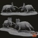 Livyatan Melvillei, Miniature to Scale; Replicas of Extinct Fauna of ...