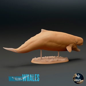 Livyatan Melvillei, Miniature to Scale; Replicas of Extinct Fauna of ...