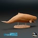 Livyatan Melvillei, Miniature to Scale; Replicas of Extinct Fauna of ...