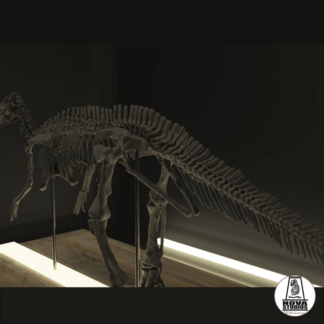 Edmontosaurus Skeleton: Extinct Fauna of the Mesozoic in Resin ...