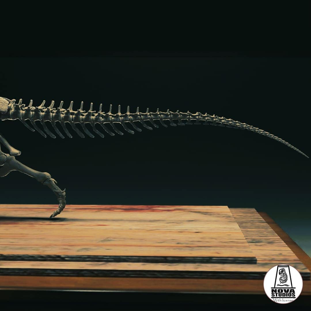 Majungasaurus Crenatissimus Skeleton: Extinct Fauna of the Mesozoic in ...