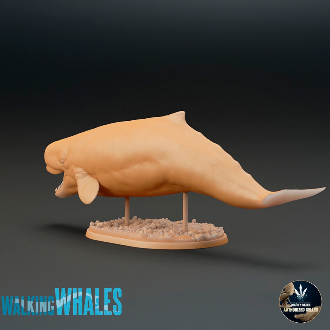 Livyatan Melvillei Miniature to Scale Replicas of Extinct - Etsy