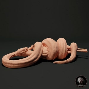 Resin Diorama With Burmese Python and Muntiacus: Paintable Miniatures ...