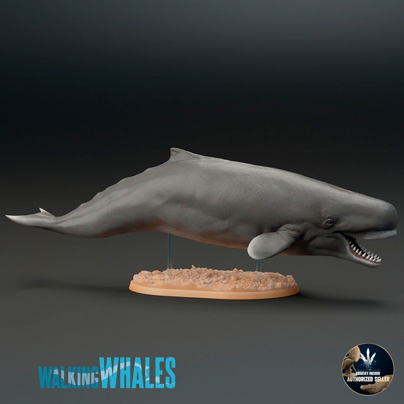 Livyatan Melvillei, Miniature to Scale; Replicas of Extinct Fauna of ...