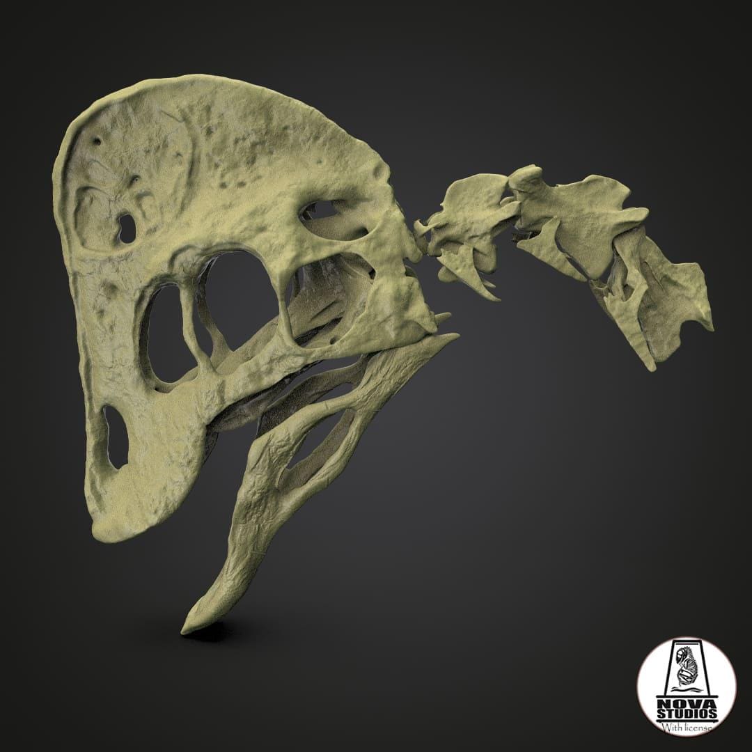 Detailed Skull of Anzu Wyliei, Extinct Fauna of the Mesozoic in Resin ...
