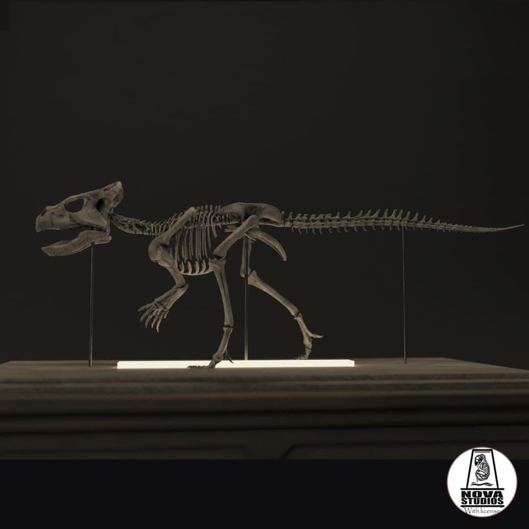 Detailed Skeleton of Microceratus Gobiensis, Extinct Fauna of the ...