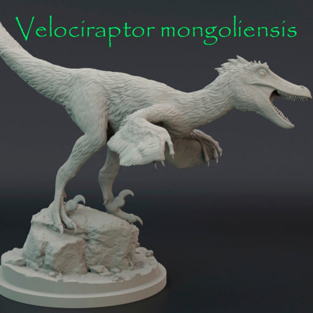 Velociraptor Mongoliensis Miniature: Detailed Replica of the Mongolian ...