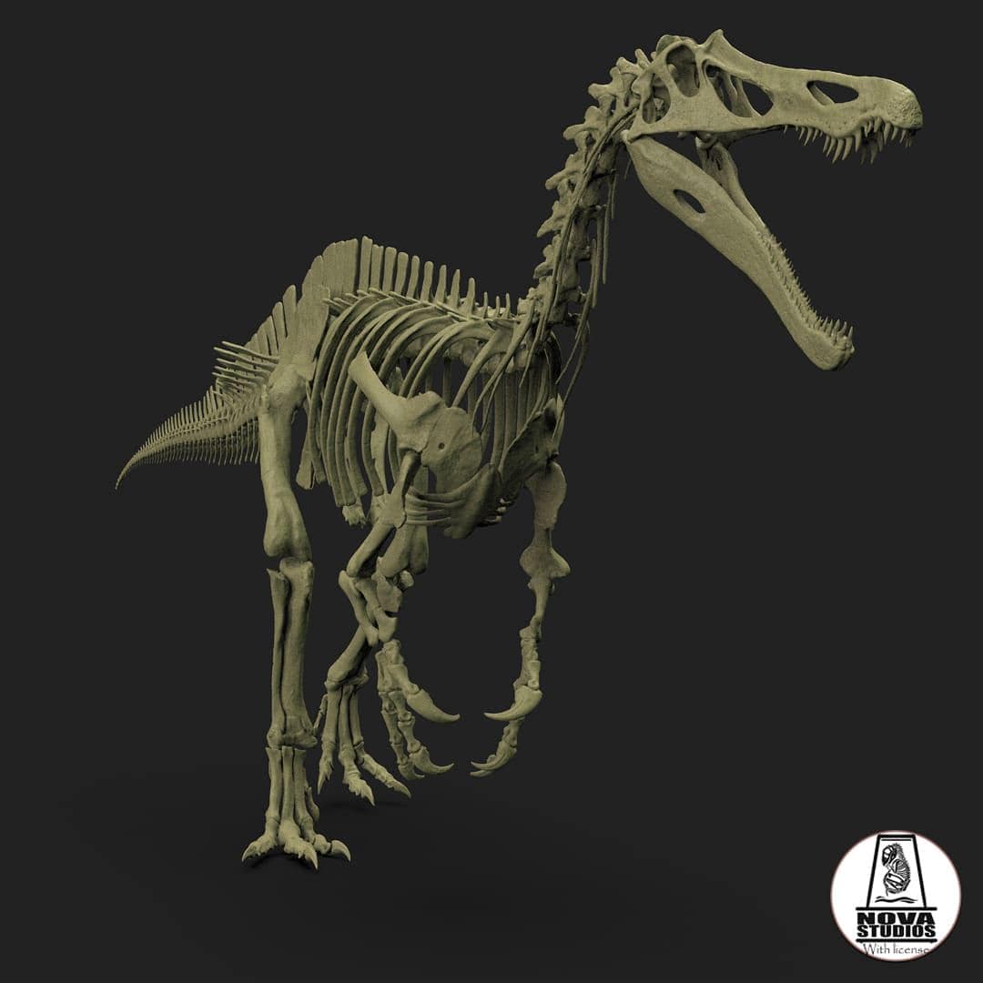 Detailed Skeleton of Suchomimus Tenerensis, Extinct Fauna of the ...