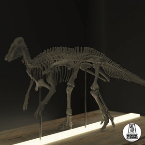 Edmontosaurus Skeleton: Extinct Fauna of the Mesozoic in Resin ...