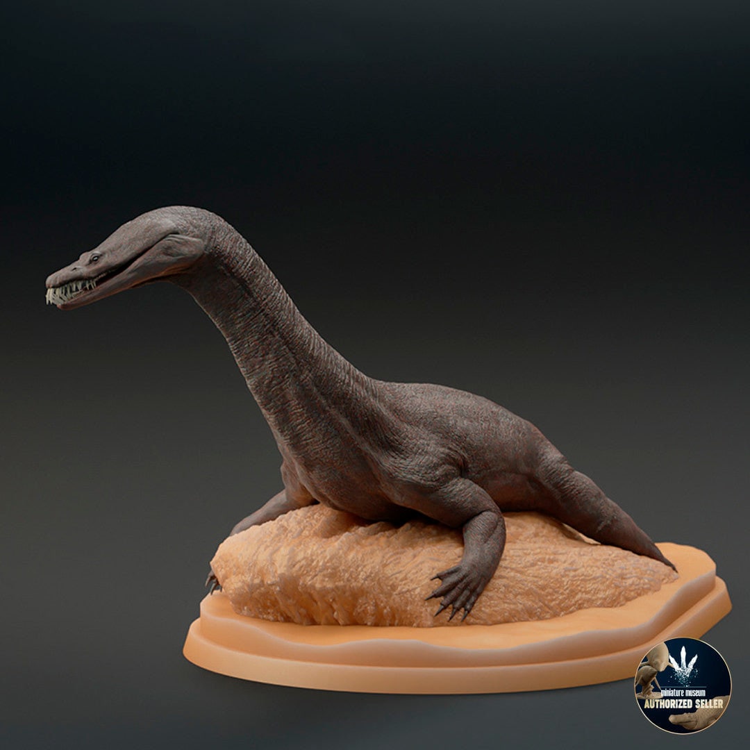 Nothosaurus Mirabilis Miniature to Paint: Detailed Replica of the ...