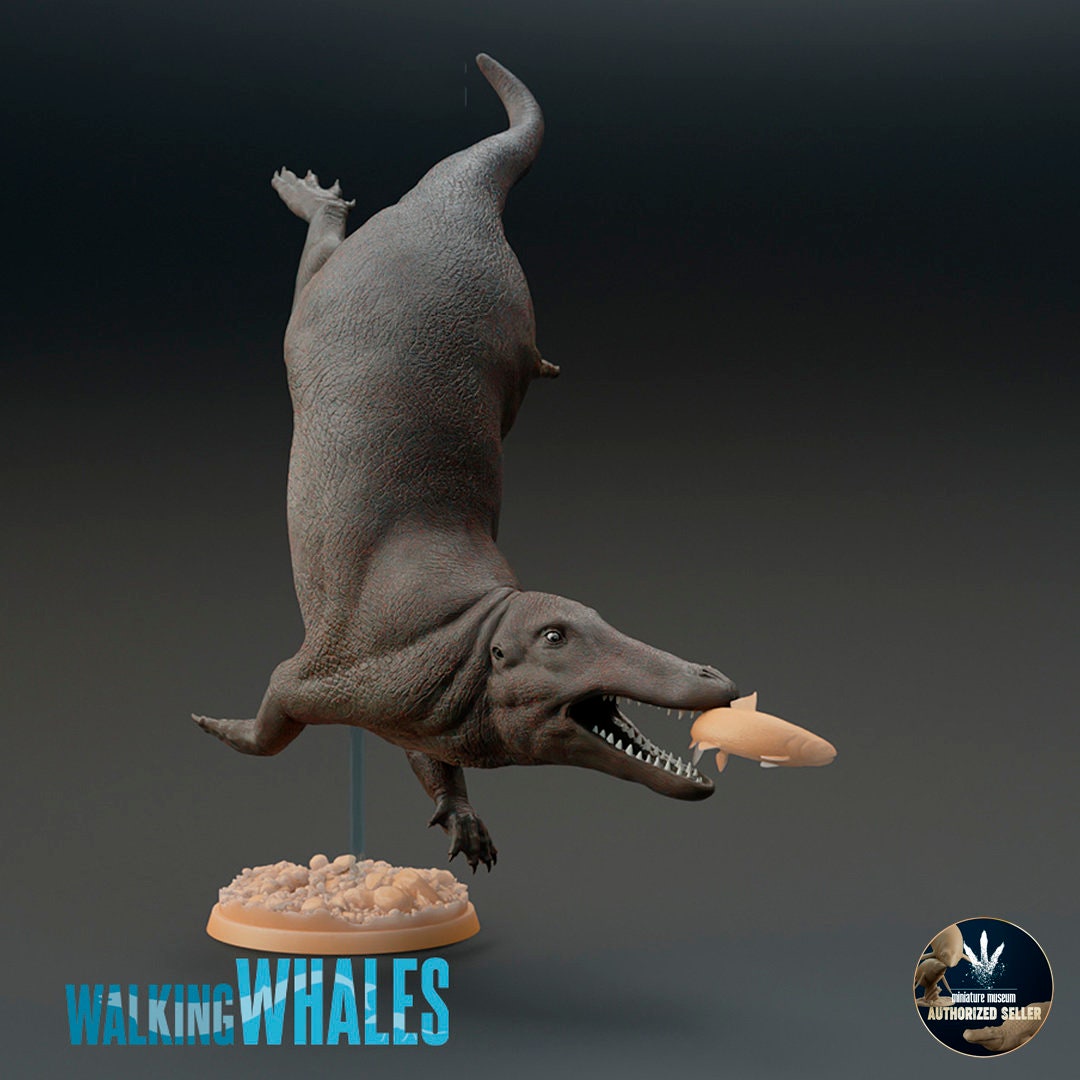 Ambulocetus Miniature: Extinct Fauna of the Cenozoic in Resin for ...