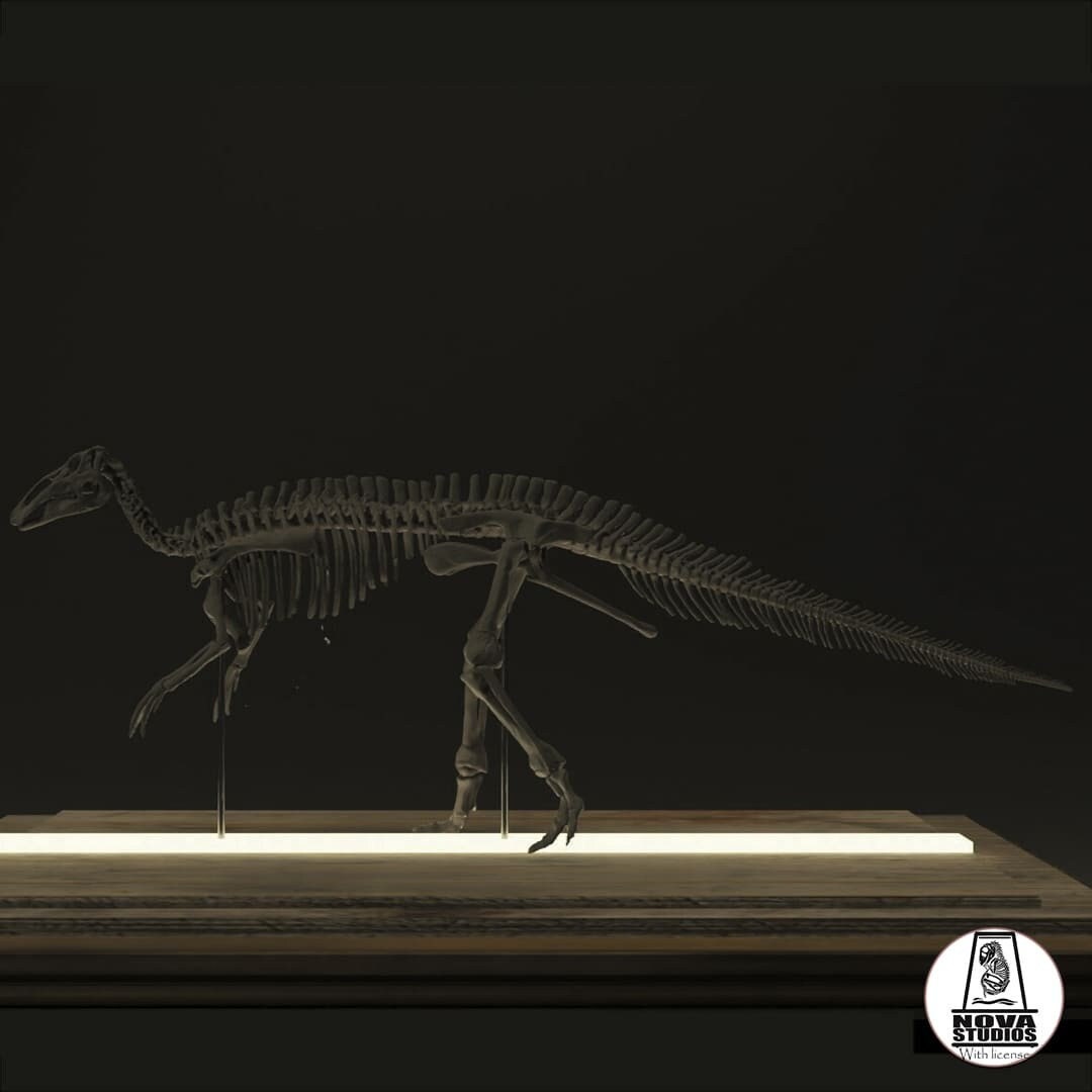 Edmontosaurus Skeleton: Extinct Fauna of the Mesozoic in Resin ...