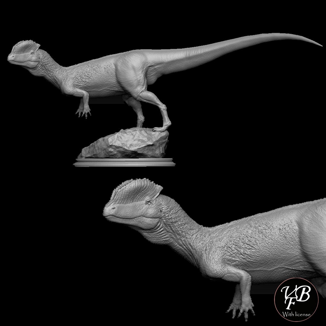Replica of Dilophosaurus in Resin to Paint: Relive the Prehistoric ...