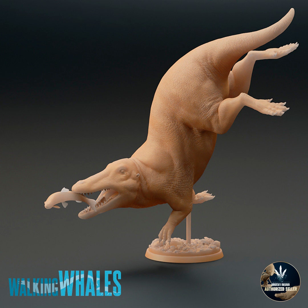 Ambulocetus Miniature: Extinct Fauna of the Cenozoic in Resin for ...