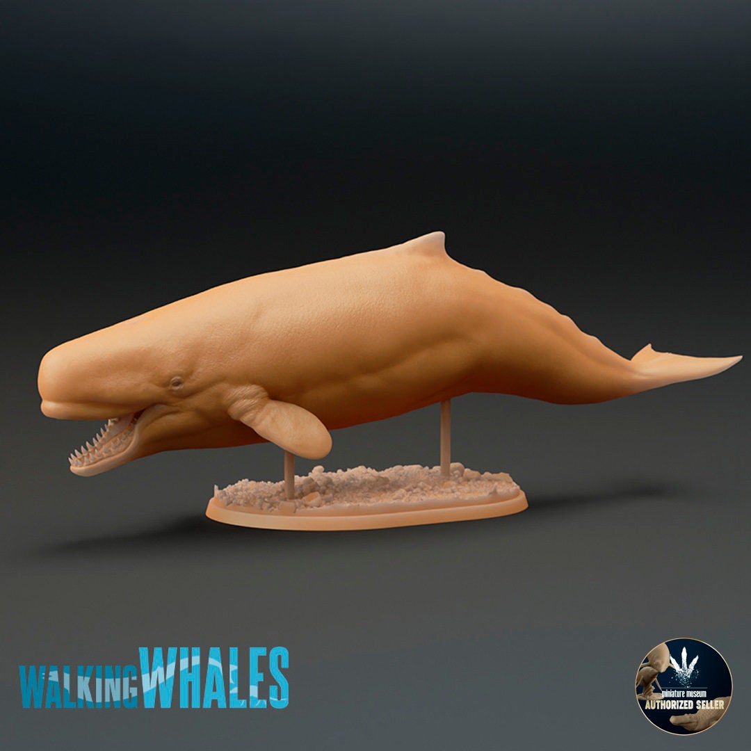 Livyatan Melvillei, Miniature to Scale; Replicas of Extinct Fauna of ...