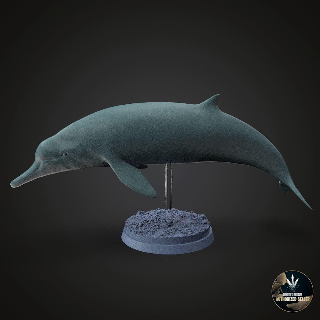 Australodelphis Mirus Miniature to Paint: Detailed Replica of the ...
