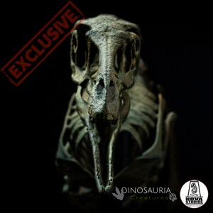 Deinonychus Skeleton: Extinct Fauna of the Mesozoic in Resin Miniature ...