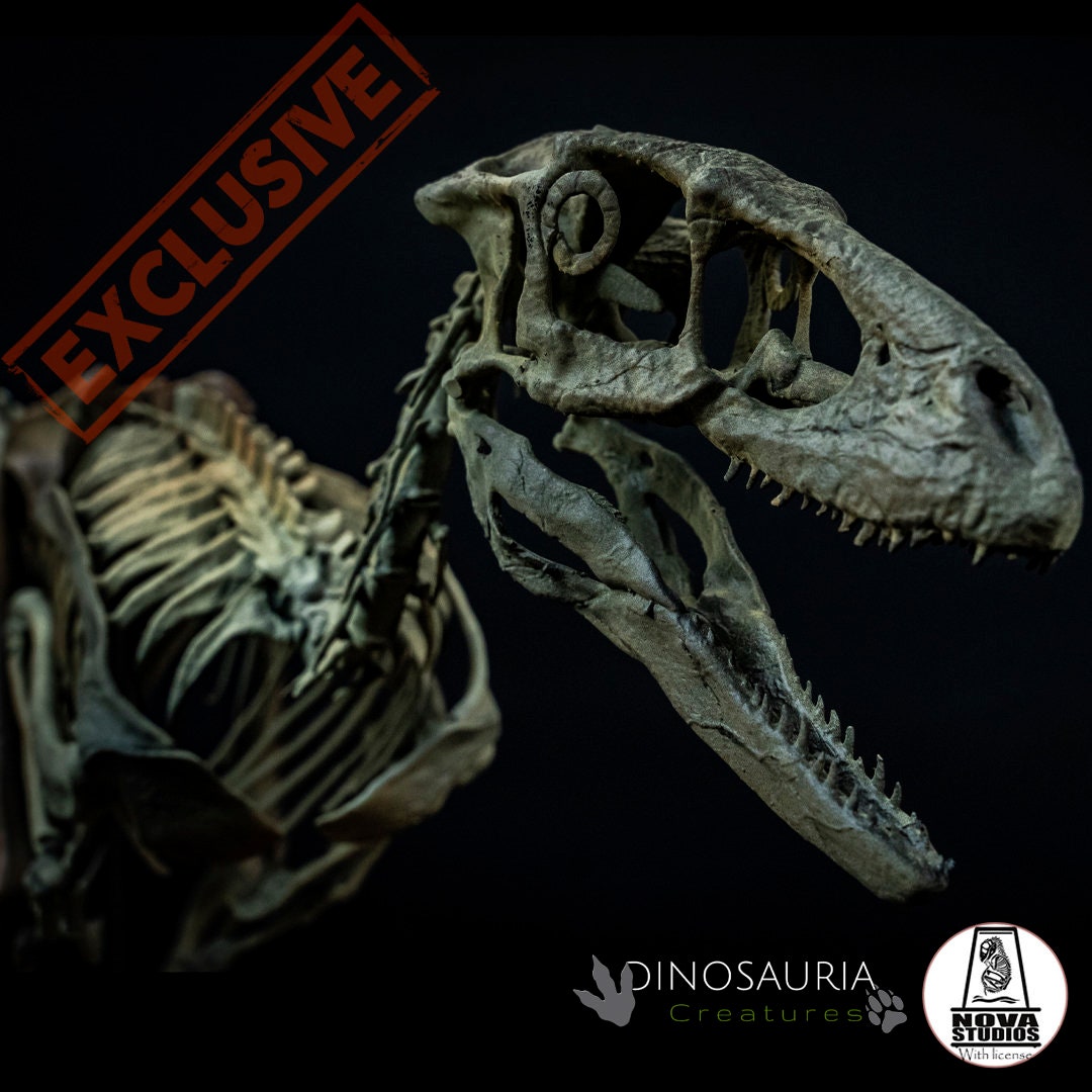 Deinonychus Skeleton: Extinct Fauna of the Mesozoic in Resin Miniature ...
