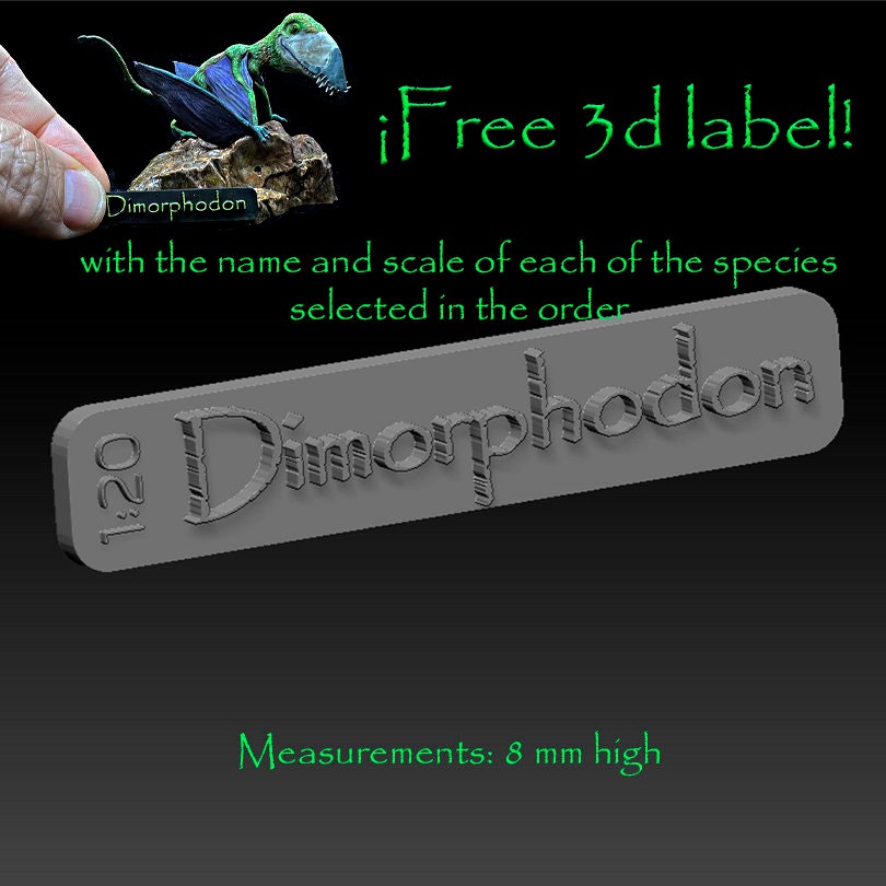 Miniature Tylosaurus and Pteranodon Diorama to Paint: Realistic ...