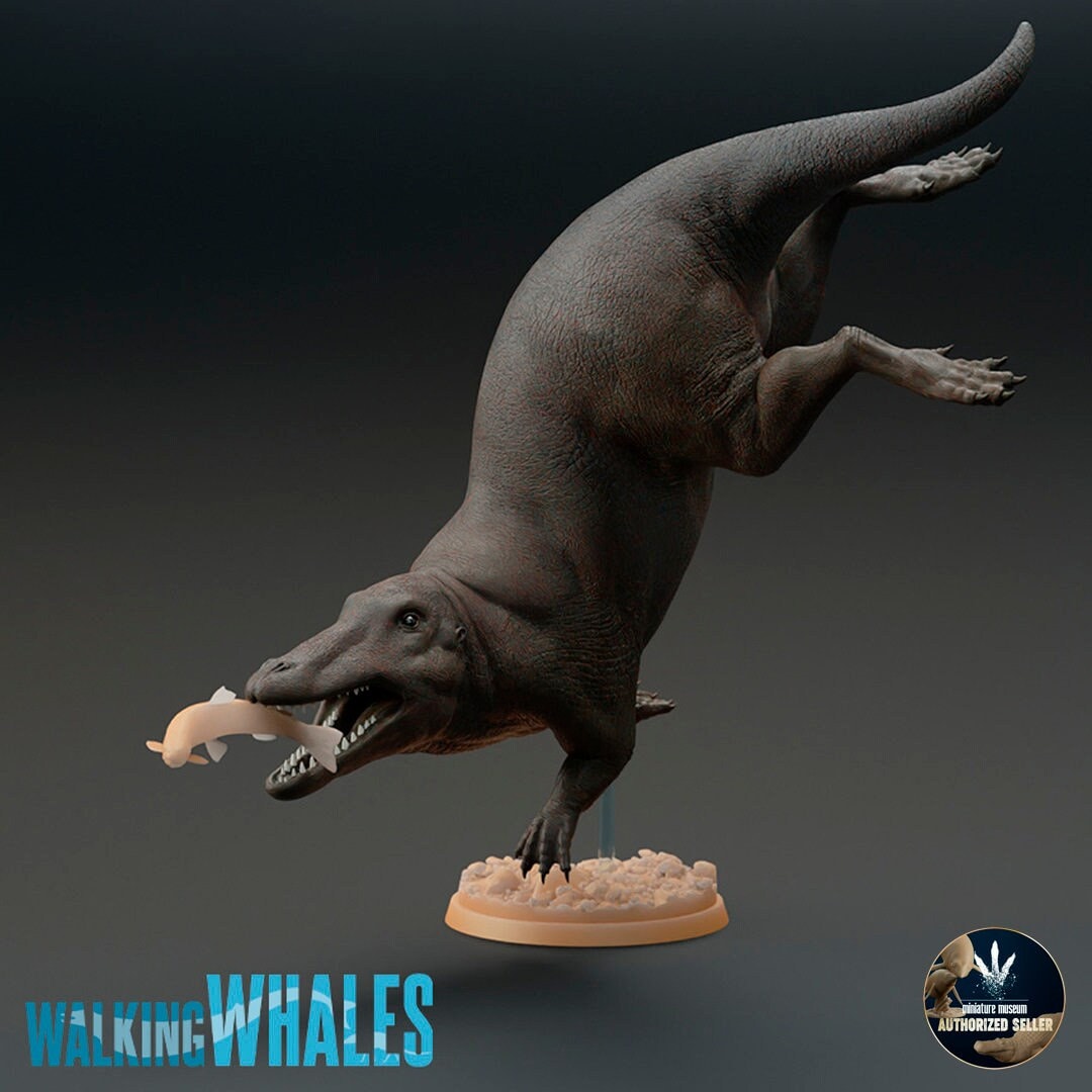 Ambulocetus Miniature: Extinct Fauna of the Cenozoic in Resin for ...