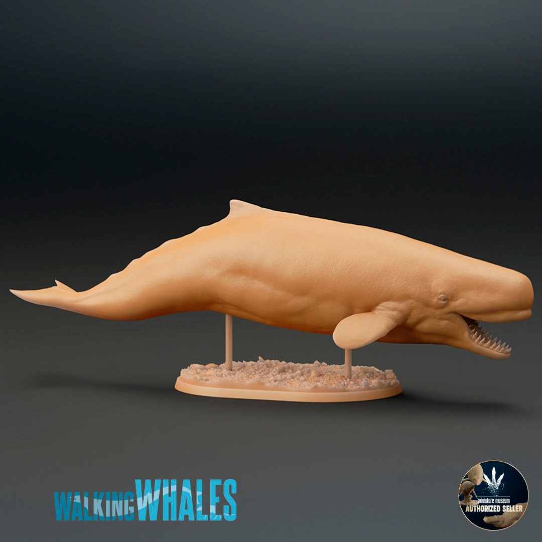 Livyatan Melvillei Miniature to Scale Replicas of Extinct - Etsy