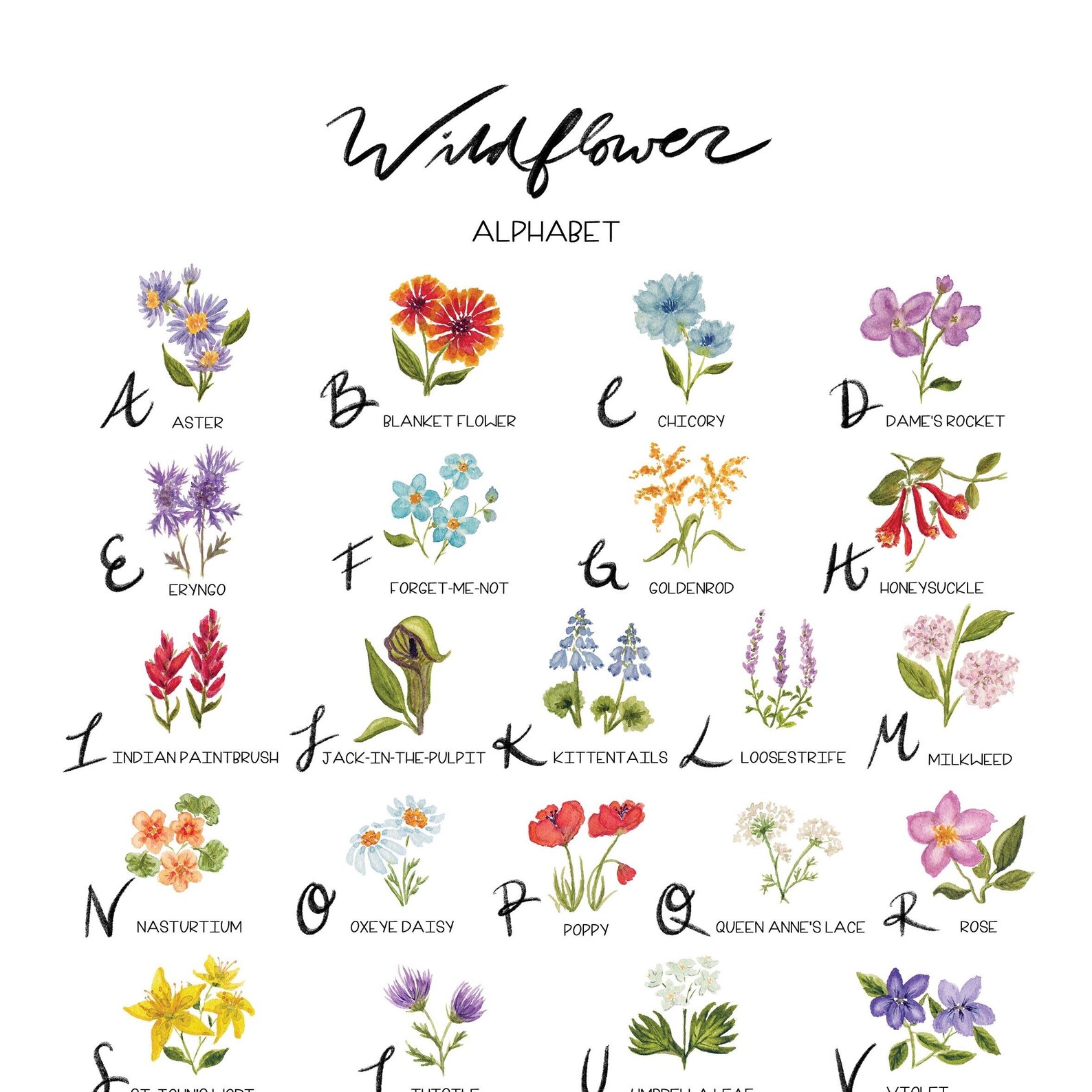 Wildflower Alphabet Watercolor Print; Nursery Decor, Home Decor, Office ...
