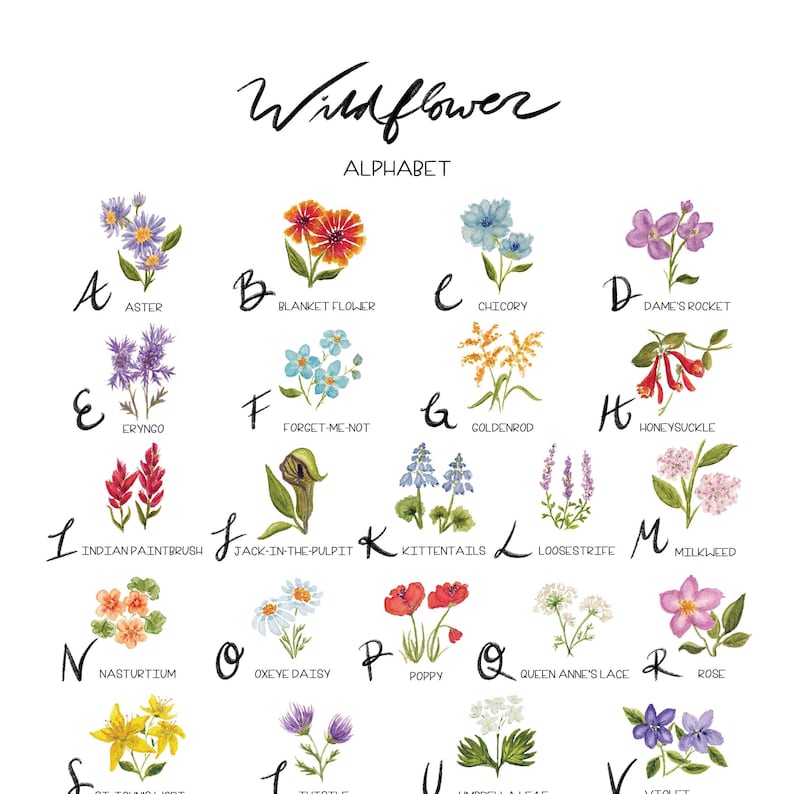 Wildflower Alphabet Watercolor Print; Nursery Decor, Home Decor, Office ...