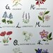 Wildflower Alphabet Watercolor Print; Nursery Decor, Home Decor, Office ...