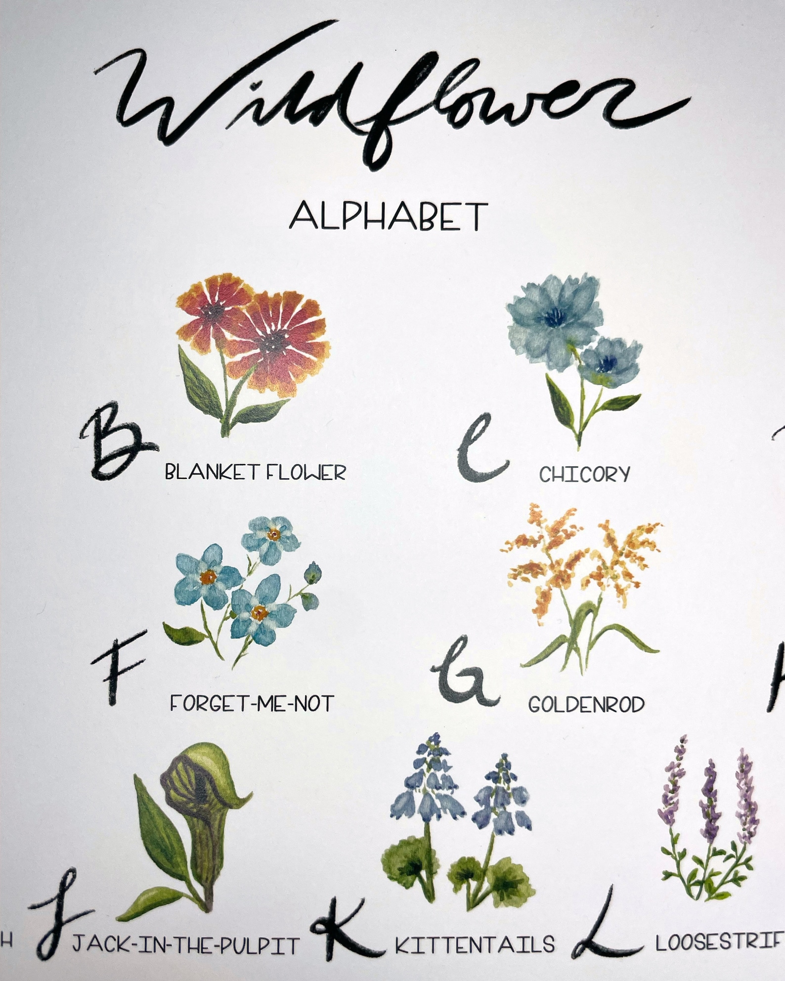 Wildflower Alphabet Watercolor Print; Nursery Decor, Home Decor, Office ...