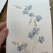 Forget-me-not Watercolor Print Nursery Decor, Home Decor, Office Decor ...