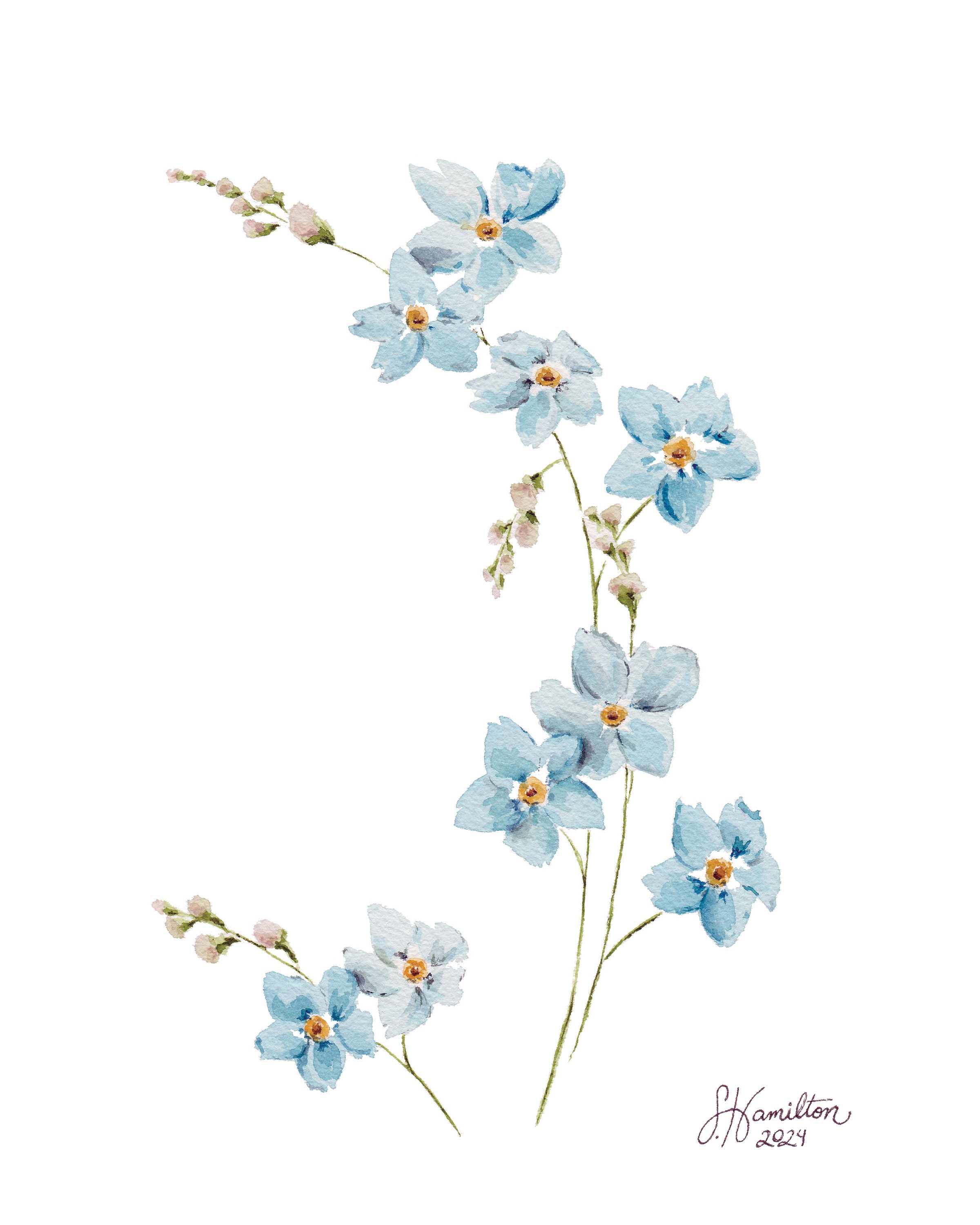 Forget-me-not Watercolor Print; Nursery Decor, Home Decor, Office Decor ...