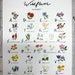 Wildflower Alphabet Watercolor Print; Nursery Decor, Home Decor, Office ...