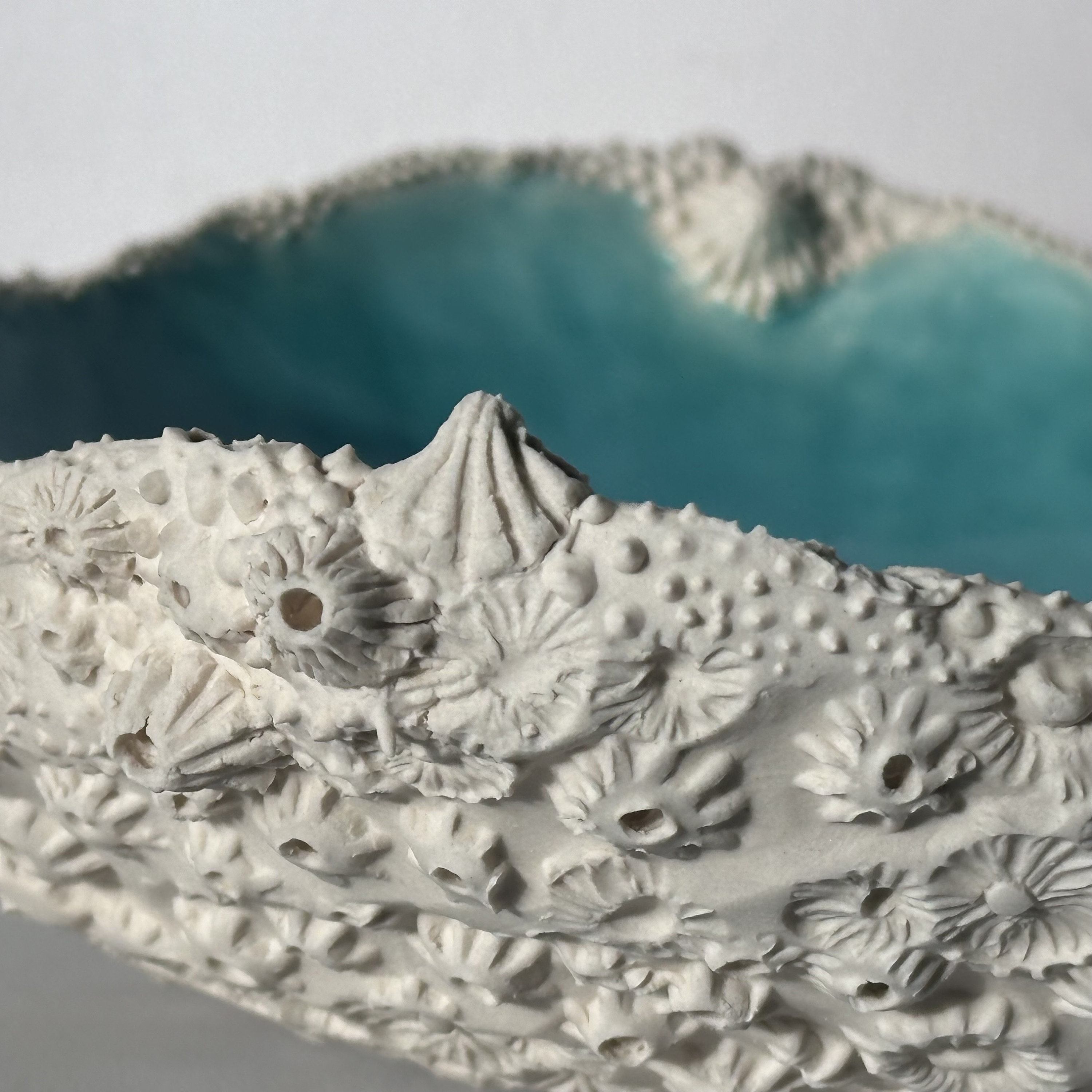 Handmade Porcelain Barnacle Bowl, Coastal Beach Bowl, Ocean Bowl ...