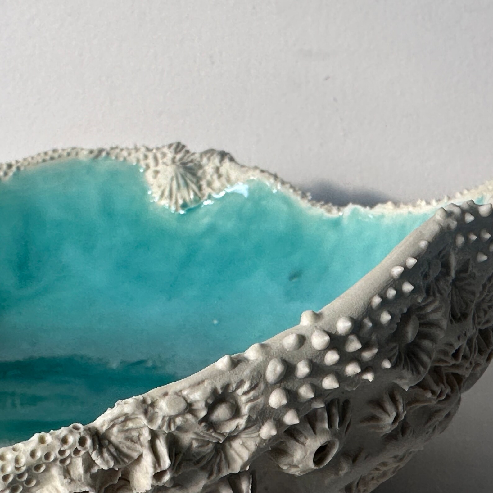 Handmade Porcelain Barnacle Bowl, Coastal Beach Bowl, Ocean Bowl ...