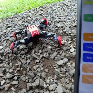 DIY Arduino Quadruped Robot Spider With Smartphone Control - Etsy