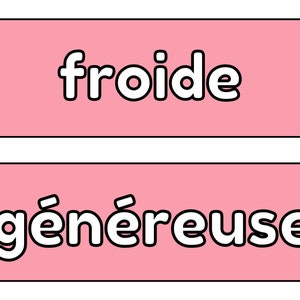 French Adjectives for Classroom Word Walls (french Vocabulary ...