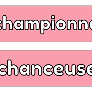 French Adjectives for Classroom Word Walls (french Vocabulary ...